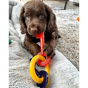 Nylabone Puppy Chew Keys Toy - Puppy Chew Toys for Teething - Puppy Supplies - Bacon Flavor, Medium/Wolf (1 Count)