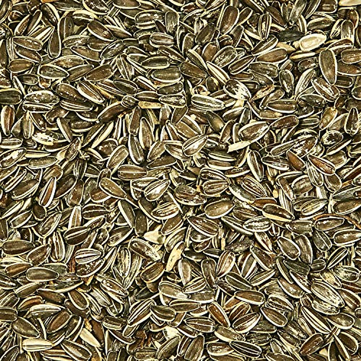 Kaytee Striped Sunflower Wild Bird Food 5 Pounds