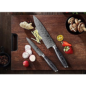 XINZUO Damascus 2Pcs Kitchen Knife Set, Hand Forged 67 Layers Damascus steel Chef Knife Utility Knife, Special cooking knife for restaurant kitchen, Ergonomic Pakkawood Handle - YA Series