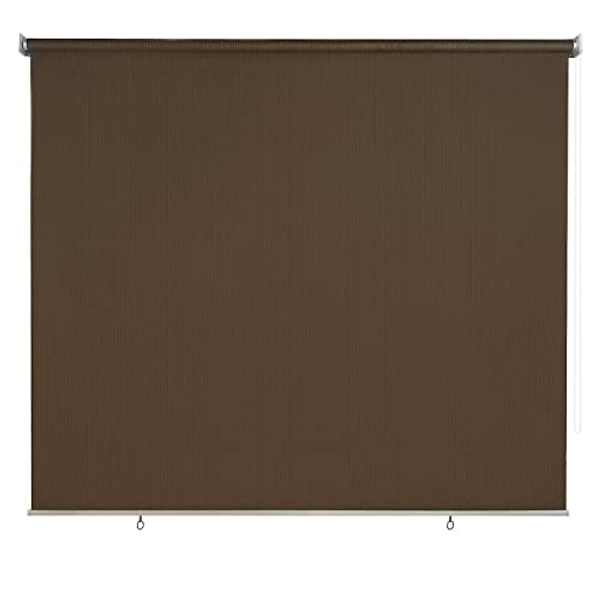 CICADA SPEECH Outdoor Roller Shade Roll Up Shade Cloth Patio Blinds for Deck Porch Balcony Backyard (8' W X 6' L), Coffee…