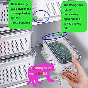 Set of 5 with Drain Basket Fruit Storage Containers , King Size to Mini Tall Airtight Fridge Fresh Produce organizer , used for food Frozen Vegetable and Salad， refrigerator veggie saver keeper
