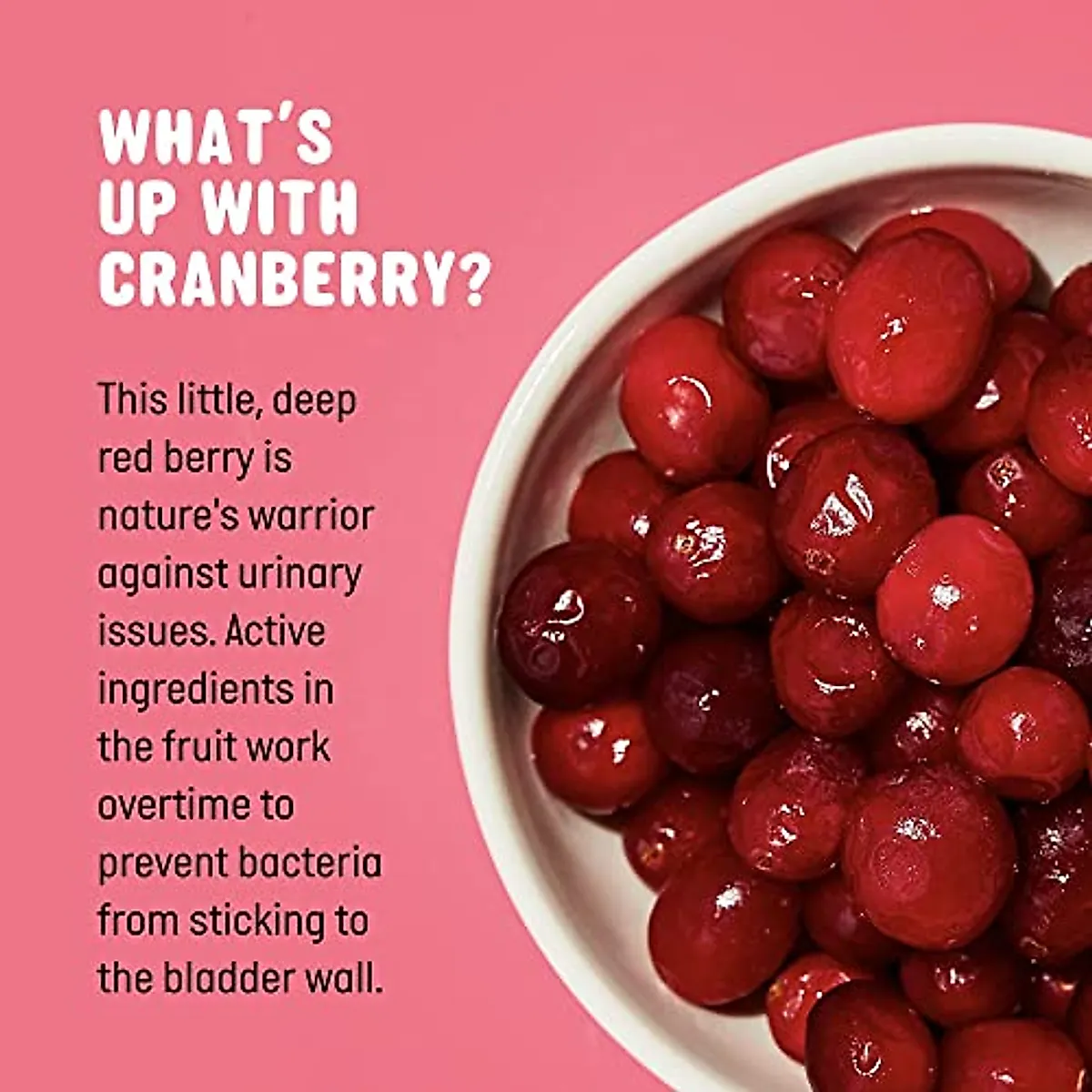 Active Chews | Cranberry Supplement for Dogs | Dog UTI, Bladder Control for Dogs | Dog Kidney Support, Dog Cranberry Supplement, Dog Health Supplies, Dog Incontinence Products | 120 ct