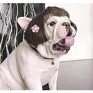 Dog Wig Costume for Small Medium Large Dogs with Head Flower, Trimmable Pet Cosplay Cat Decoration for Halloween, Christmas, Parties