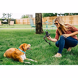 Steadicam Volt Electronic Handheld Gimbal Stabilizer for All IPhone XS, XS Max & XR, All Samsung S9/S9+ & GoPro Hero, Black, compact