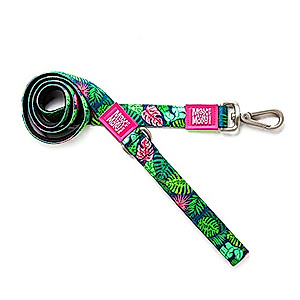 Max & Molly Classic Dog Lead, 4FT Neoprene Padded Leash, Waterproof & Machine Washable Leash for Small, Medium, & Large Dogs