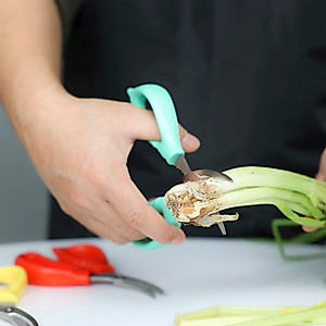 Endurance Kitchen shears Seafood Scissors for Shrimp crab lobster snow crab 6.1 Inch Stainless Steel