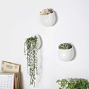 Mkono 4 Inch Wall Mounted Planter Round Ceramic Hanging Plant Holder Decorative Flower Display Vase Succulent Pots for Indoor Plants, Set of 3, White (Plants NOT Included)