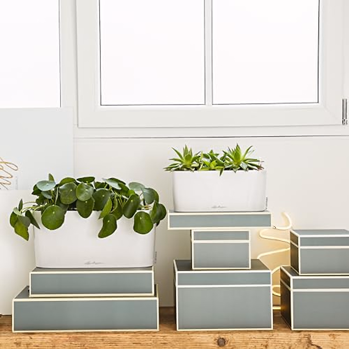 Lechuza 15460 Delta 10 Indoor and Outdoor Use, 12" x 4" x 5", Self Watering Planter, 30cm, White High Gloss