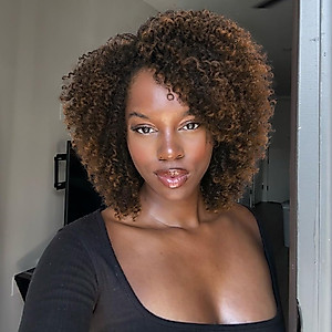 Hanne Fashion Short Kinky Curly Wigs Ombre Brown Side Part Wig Afro Curly Wig Twist Out Wigs Heat Resistant Fiber Synthetic Full Wigs for Black Women (1B 30#)