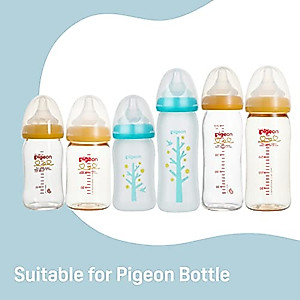 Pigeon Sponge Bottle Brush 2-Way Cleaning Type for Baby Nursing Bottles, Green (Made in Japan)
