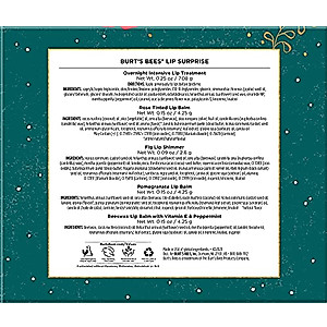 Burt’s Bees Lip Surprise Set