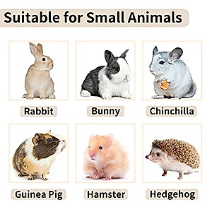 BNOSDM 12 Pack Small Animals Himalayan Salt Licks Set, 6 Rabbit Mineral Salt Blocks and 4 Hamster Teeth Grinding Stones Natural Bunny Chew Treat Toys for Rats Guinea Pigs Ferrets Chinchillas