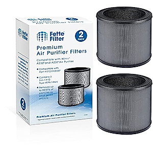 Fette Filter - 2 Premium True Hepa H13 Replacement Filter Size O Compatible with Winix Air Purifier Model A230 A231 Compare to Part # 1712-0110-00, 1712011000