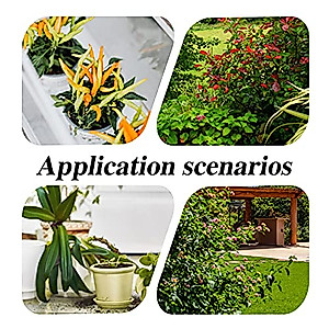 Watering can Spout Watering Pot Plant misting Water Bottle Kids Watering Spray Bottle Water Pitcher for Plants Kettle with Long Spout Child Outdoor Stainless Steel Succulent Plants