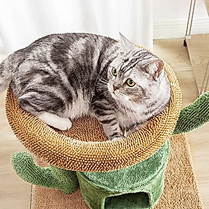 Kilodor Cat Tree for Indoor Cats, 24.5inchs Cactus Cat Tower with Large Padded Top Perch, Kitten Condo House, Cat Scratching Post Small