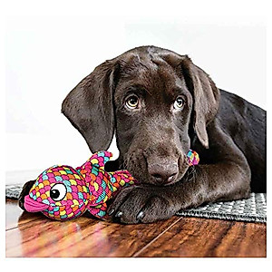 KONG WBZ12 Large Wubba Finz Blue Lg Dog Toy