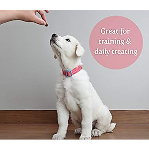 Exclusively Dog Best Buddy Bits-Cheese Flavor, 5-1/2-Ounce Package (44100)