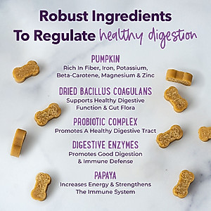 iHeartDogs 3-in-1 Probiotic for Dogs with Pumpkin for Improved Digestion & Gut Health - Dog Probiotics and Digestive Enzymes, 90 Count