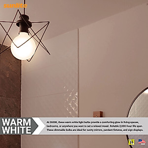Sunlite 41688 Incandescent G40 Globe Light Bulb, Frosted, 60 Watts, 498 Lumens, Medium E26 Base, Decorative, Dimmable, Pendant, Vanity Mirror, 2600K Warm White, 4 Count