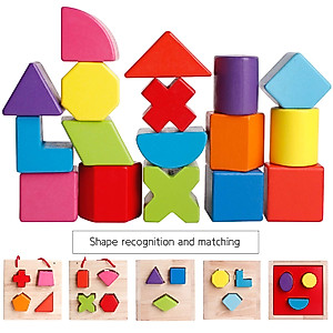 BESTAMTOY Shape Sorter Toy My First Wooden 12 Building Blocks Geometry Learning Matching Sorting Gifts Didactic Classic Toys for Toddlers Baby Kids 31 Years Old Up Fourteen Hole Toy