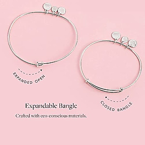 Alex and Ani Because I Love You Sister Expandable Wire Bangle Bracelet for Women, Woven Together Charm, Shiny Antique Silver Finish, 2 to 3.5 in