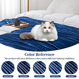 Poledar Blankets Queen Size Fleece Throw Blankets 330GSM Lightweight Plush Fuzzy Cozy Flannel Washable Soft Blanket for Couch Sofa Bed Camping(Dark Blue 90x90in)
