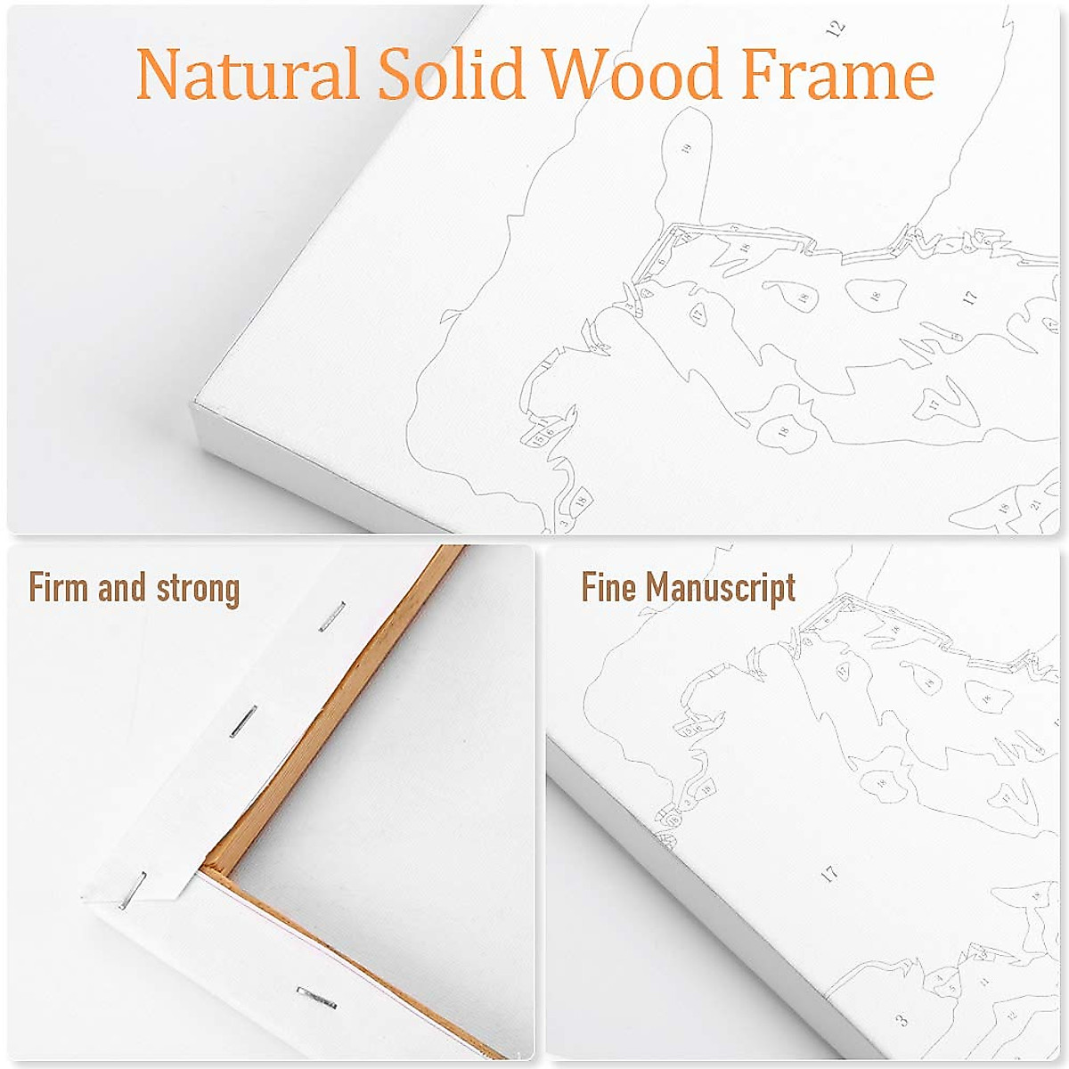 Ginkko Paint by Numbers for Adults Beginner & Kids Ages 8-12 with Wooden Frame Easy Acrylic on Canvas 9x12 inch with Paints and Brushes, Moon Mushroom Forest Butterfly(Include Framed)