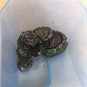 PINVNBY Turtles Dock for Aquarium Reptile Basking Platform for Turtles, Frogs, Newts (1 Pack)