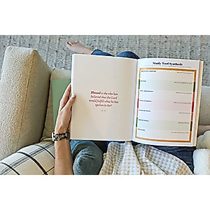 Brave and Beloved: A Bible Study for Women Exploring the Wisdom and Diversity of Women in the Bible