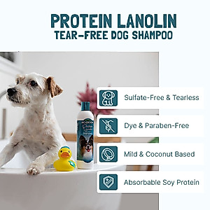 Bio-groom 20025 Protein Lanolin Shampoo 2 5 Gallon