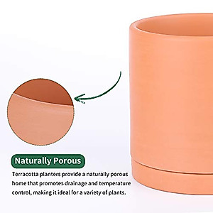 POTEY Terracotta Planter with Drainage Hole and Saucer - 6 Inch 5 Inch 4 Inch Indoor Cylindrical Plants Flower Containers Unglazed Clay Pots - Set of 3, 222231
