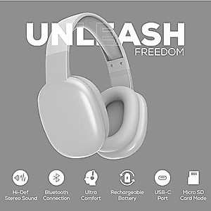 Gabba Goods Wireless Over Ear Bluetooth Headphones with Microphone - Wireless Headset -Noise Reduction - Bluetooth, Wired,Built in Micro SD for Travel, Home, Work TV,PC,Gaming,Cellphone (Silver)
