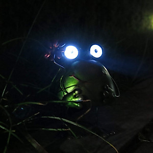 Solar Animal Lights, Metal Garden Art Frog Statue for Patio Garden Lawn Yard Flowerbed Decor