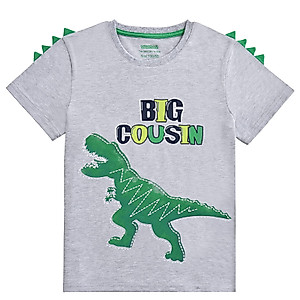 WAWSAM Dinosaur Big Cousin T-Shirt Birthday Boy Shirt for Toddler Boys of The Matching Family Short Sleeve Grey, 4-5T