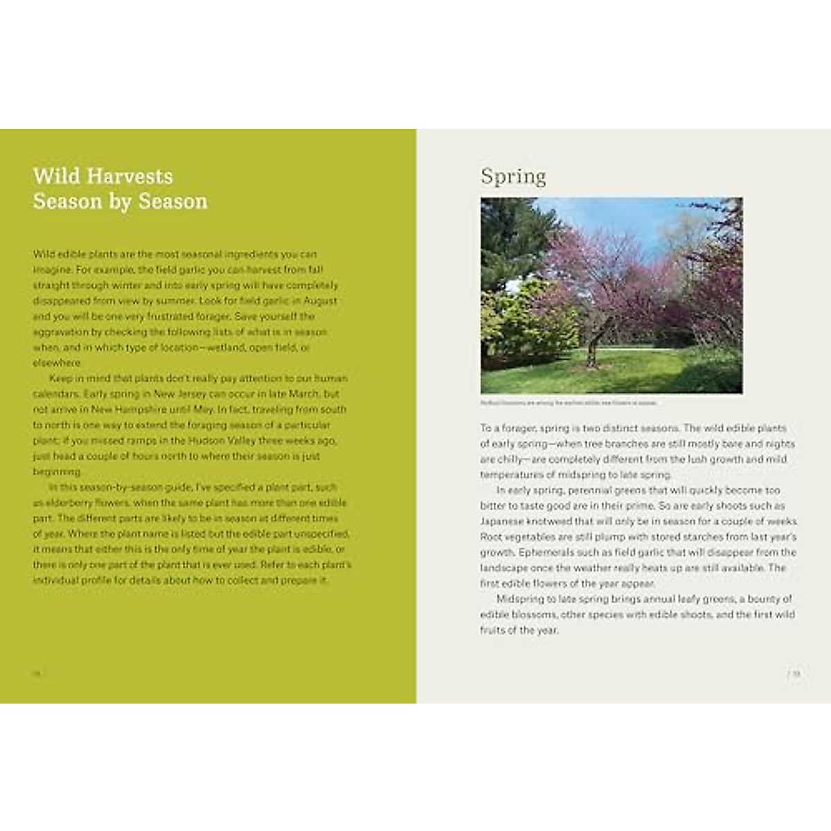 Northeast Foraging: 120 Wild and Flavorful Edibles from Beach Plums to Wineberries (Regional Foraging Series)