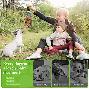 wangstar Squeaky Dog Toy for Puppy Dogs Toys to Keep Them Busy Mallard Duck Stuffed Dog Toys for Medium Small Dogs, 9" x3 Wild Duck