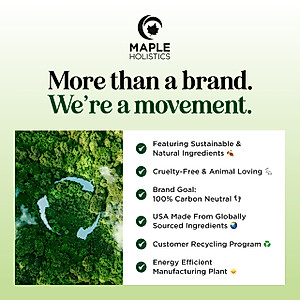 Oily Hair Shampoo for Greasy Hair - Clarifying Shampoo for Oily Hair and Dry Scalp Cleanser for Build Up - Deep Cleansing Shampoo for Oily Scalp Toner with Purifying Essential Oils for Hair Care