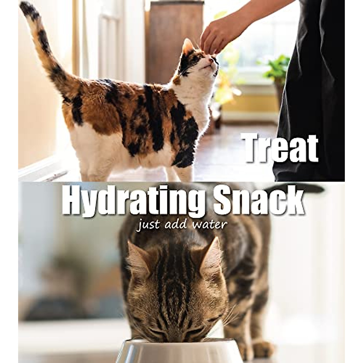 Whole Life Pet Freeze Dried Chicken Cat Treats - Human Grade - One Ingredient - Sourced and Made in The USA