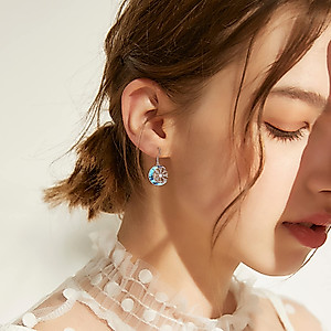 Viking Compass Earrings Sterling Silver Abalone Shell Moon Compass dangle Drop Earrings for Women Norse Earrings Gifts for Nordic Pagan