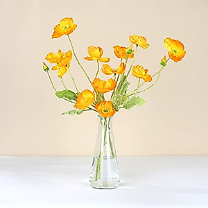 Magic Season Decorative Glass Bottles with Cork Stoppers (12 fl oz. Tapered Bottles / 2 Pcs)