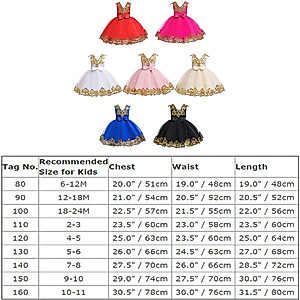 Flower Girl Dress Toddler Kids Baby Girls Shiny Sequin Bowknot Tutu Tulle Princess Dresses Birthday Party Pageant Wedding Bridesmaid Formal Evening Sundress Baptism Clothes Gift Hot Pink 5-6T
