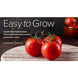Ace 55 VF Tomato Seeds for Planting Heirloom Non-GMO Seeds for Home Garden Vegetables Makes a Great Gift for Gardening by Gardeners Basics
