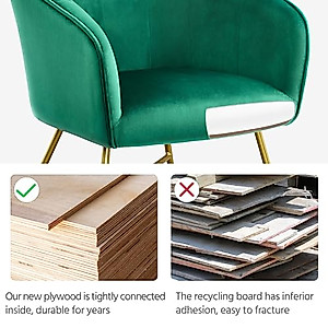 Yaheetech Vanity Chair, Modern Accent Chair, Soft Velvet Barrel Chair with Golden Metal Legs and Soft Padded, Comfy Side Chair for Living Room/Bedroom/Makeup Room/Study/Waiting Room, Green, Set of 2