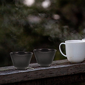 Angoily 2pcs Japanese Tea Cup Black Tea Cups Japanese Cast Iron Tea Cup Chinese Kung Fu Tea Cup Blossom Teacup Handcraft Mugs Set