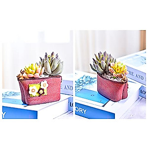 Novelty and Cute Little Things Umbrella Coin Bag Flower Pot Garden Flower Pot Resin Succulent Potted Bonsai Plant Stand Home Desk Mini Ornaments Without PlantsFlower Series Coin Bag Flower Pot