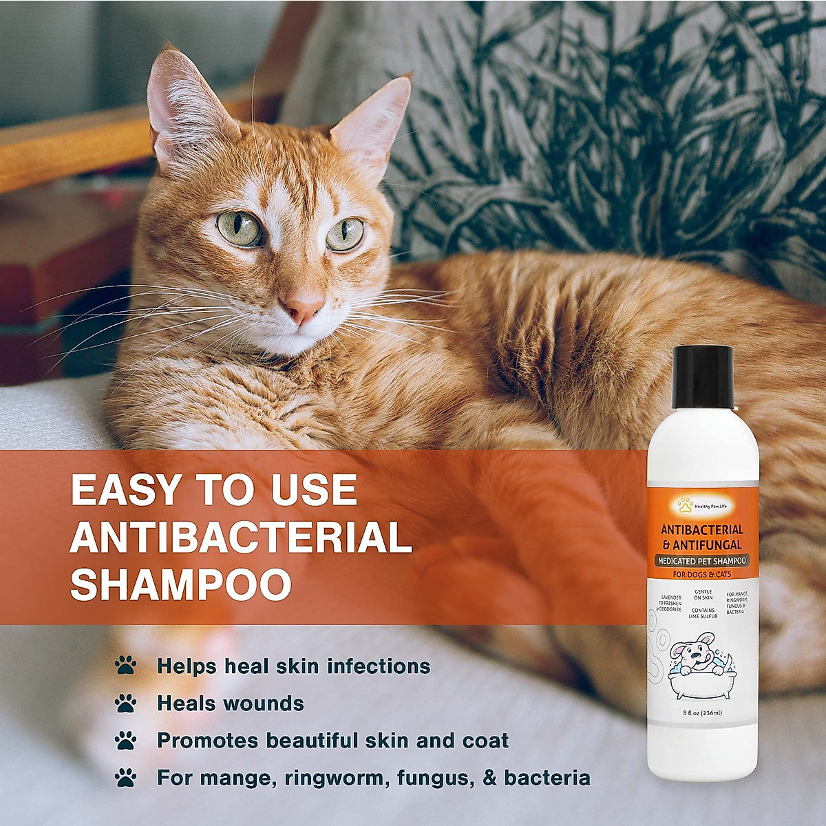 Healthy Paw Life Classic's Lime Sulfur Pet Shampoo - Pet Care and Veterinary Solution for Itchy and Dry Skin - Safe for Dog, Cat, Puppy, Kitten, Horse