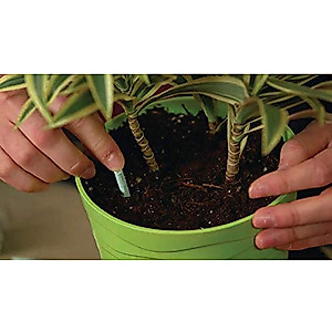 Miracle-GRO Indoor Plant Food, 48-Spikes (4-Pack (48 Count))