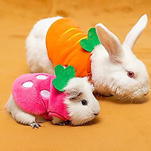 TUKOAW Guinea Pig Clothes - Cute Strawberry & Carrots Pet Colthes for Guinea Pig Rabbit Ferret Rat Chinchilla Kitten MiniDogs - Soft Warm Guinea Pig Costume for Winter Fall