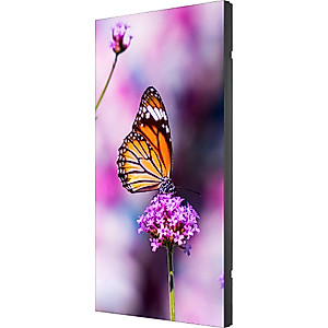 NEC MultiSync UN552V 55" 16:9 Full HD S-IPS Ultra Narrow Bezel Video Wall LCD LED Display with Direct LED Backlights, 3.5mm Bezel Gap HDMI/DP Daisy Chain, SpectraView Engine