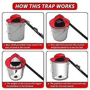 Bucket Lid Flip N Slide Humane Self-Resetting Mouse Trap